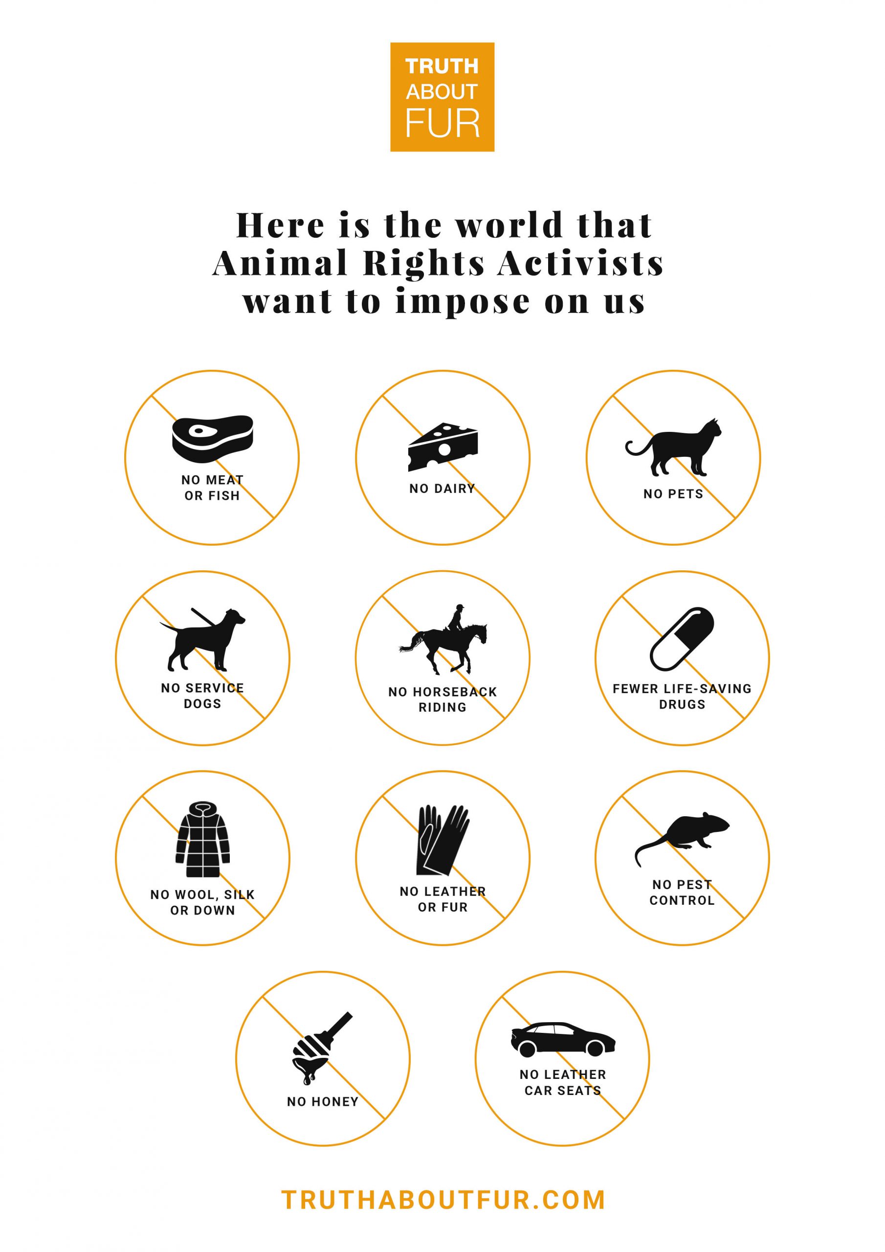 Animal Welfare vs Animal Rights: An Important Distinction