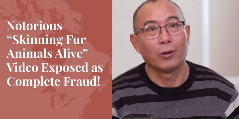 Notorious "Skinning Fur Animals Alive" Video Exposed as Complete Fraud!