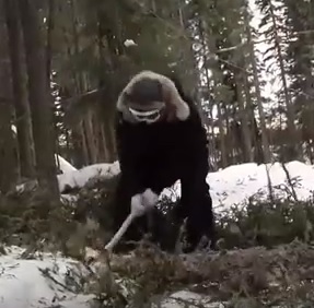 A profile on First Nations trapping in Canada | Truth About Fur - The Blog!